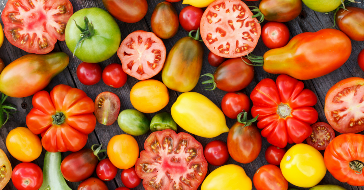 What Is A Tomtato? - Eco18