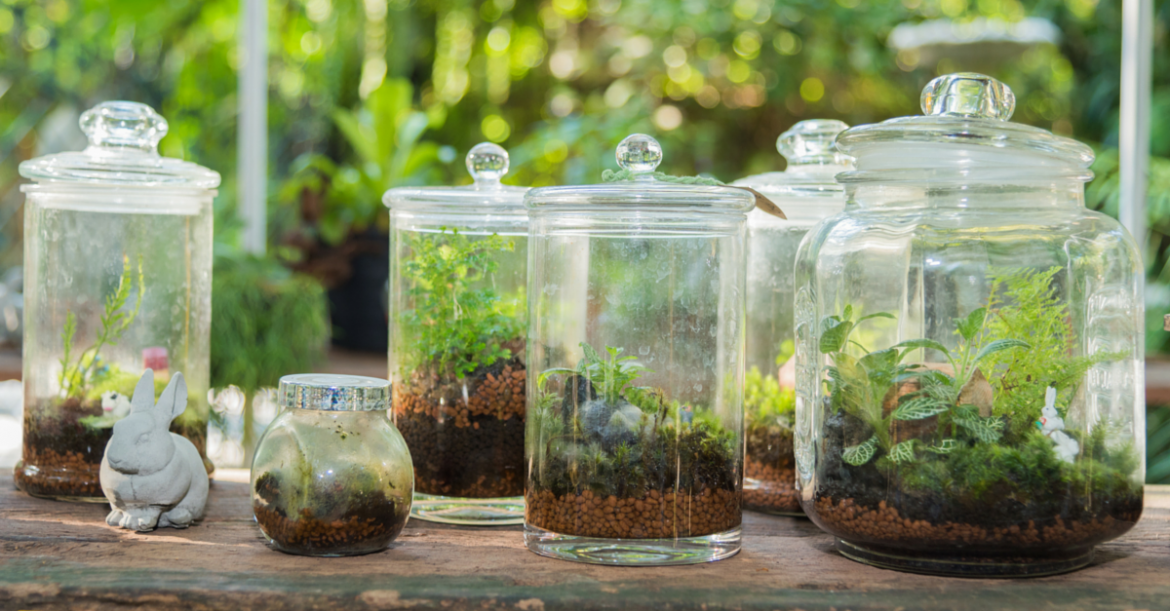 Easy DIY Terrariums To Make During Earth Week - Eco18