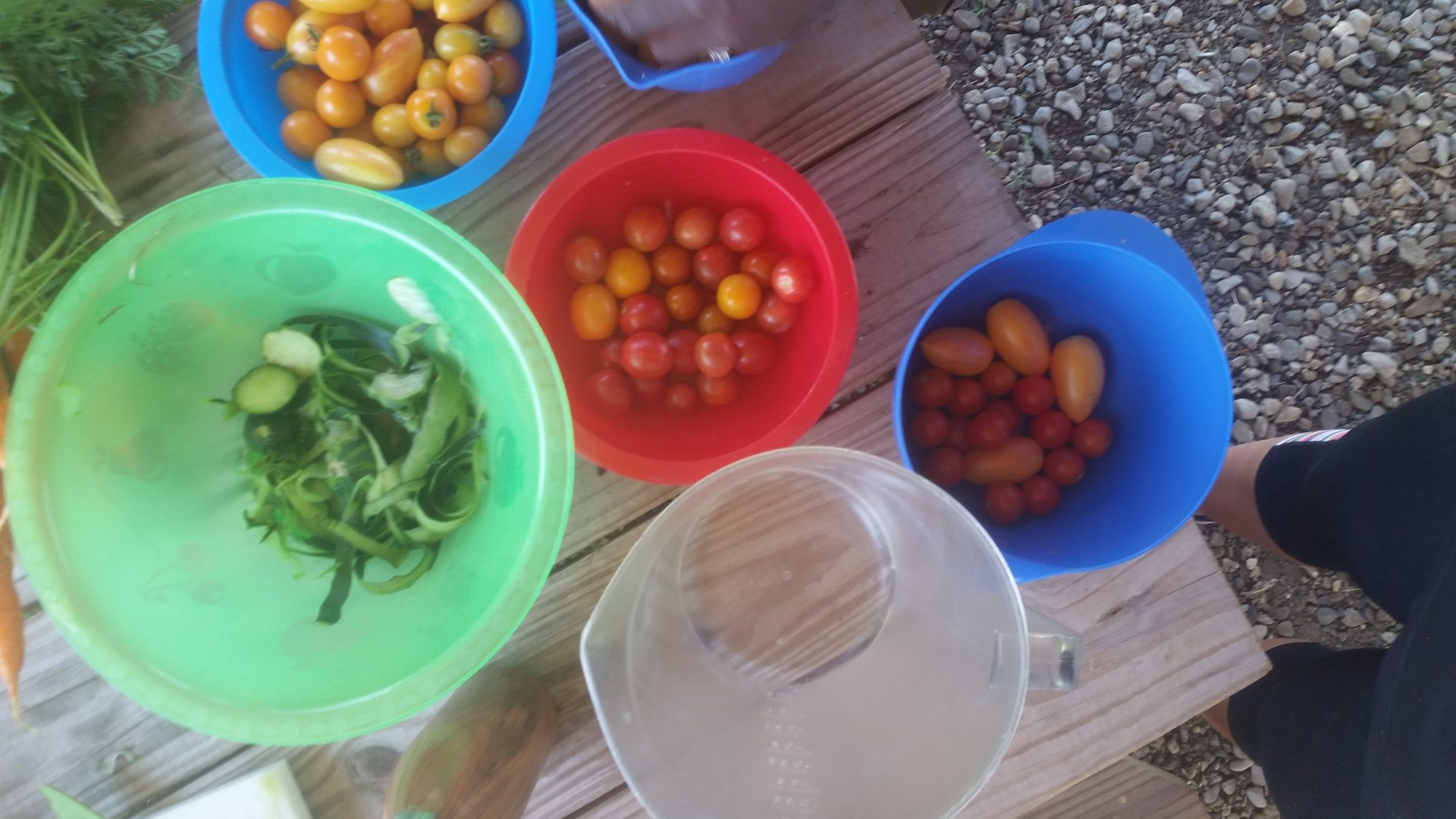 McEnroe Organic Farm - Eco18