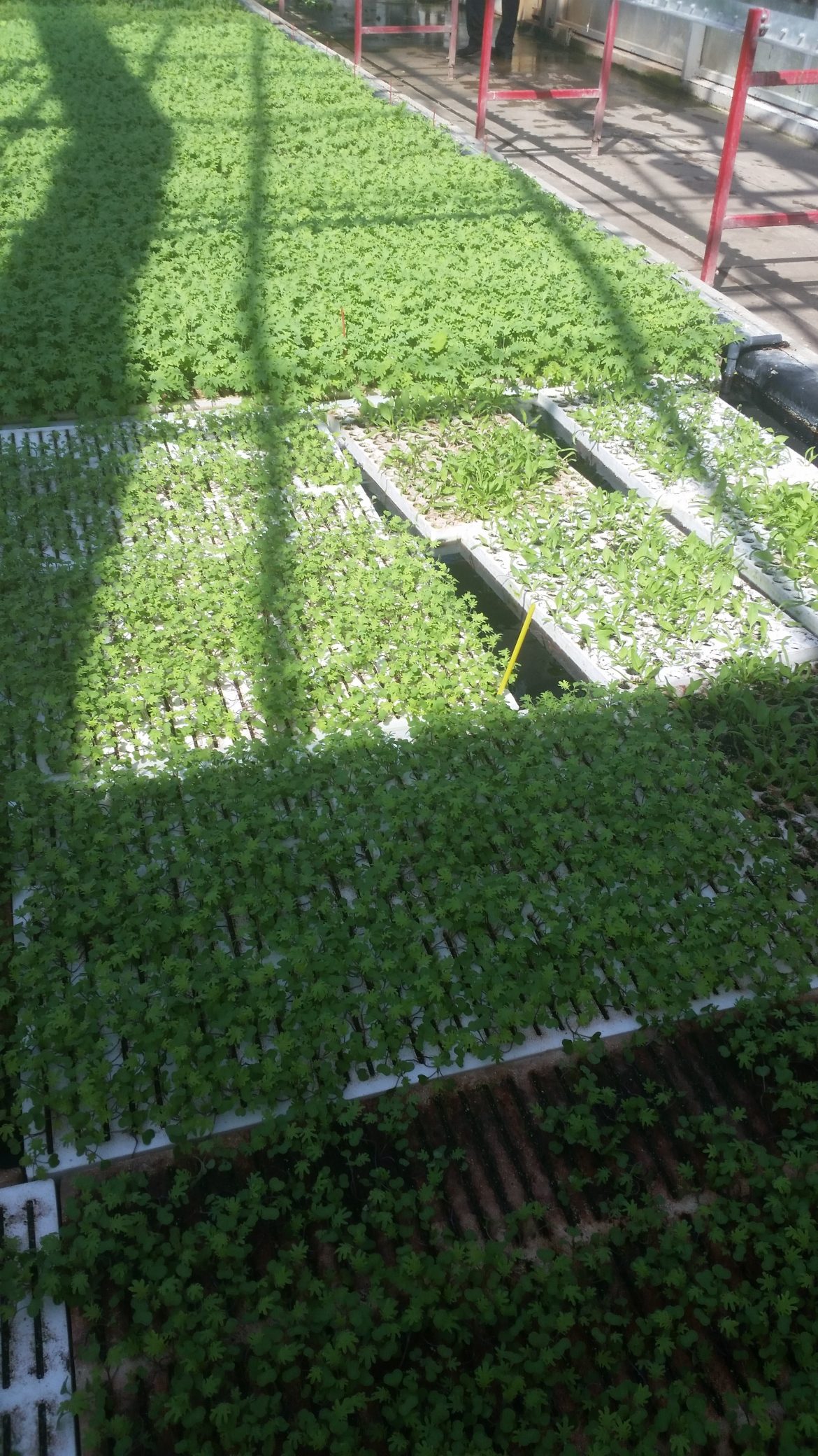 3 Different Types of Farming - Eco18