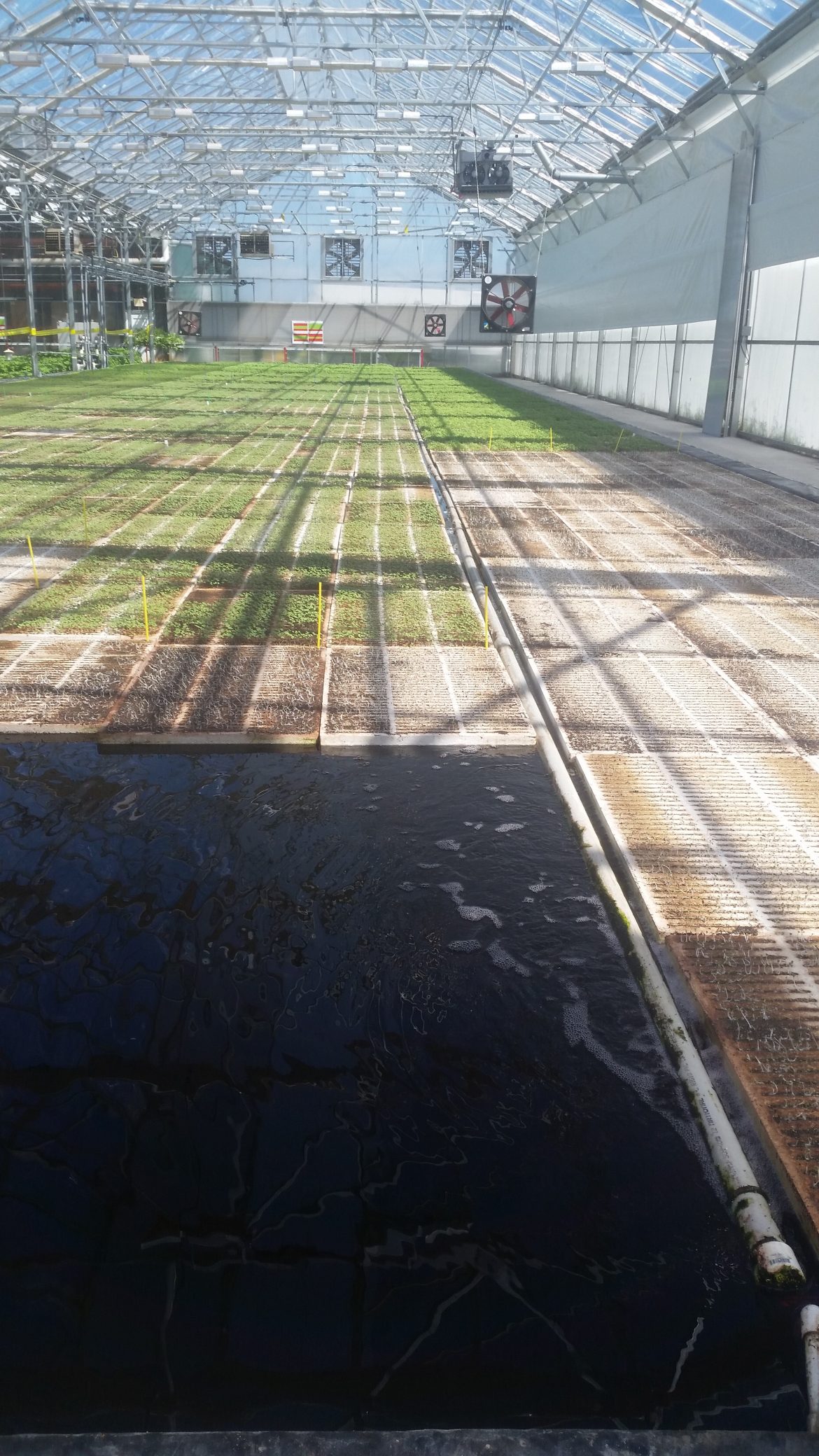 3 Different Types of Farming - Eco18