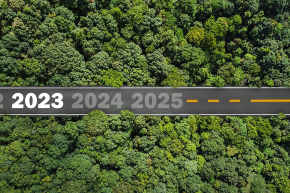 Celebrating World Octopus Day: An Ode to Ocean Geniuses - Eco18