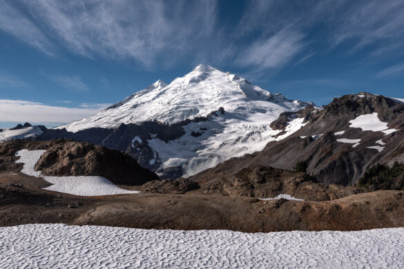 Celebrating World Octopus Day: An Ode to Ocean Geniuses - Eco18